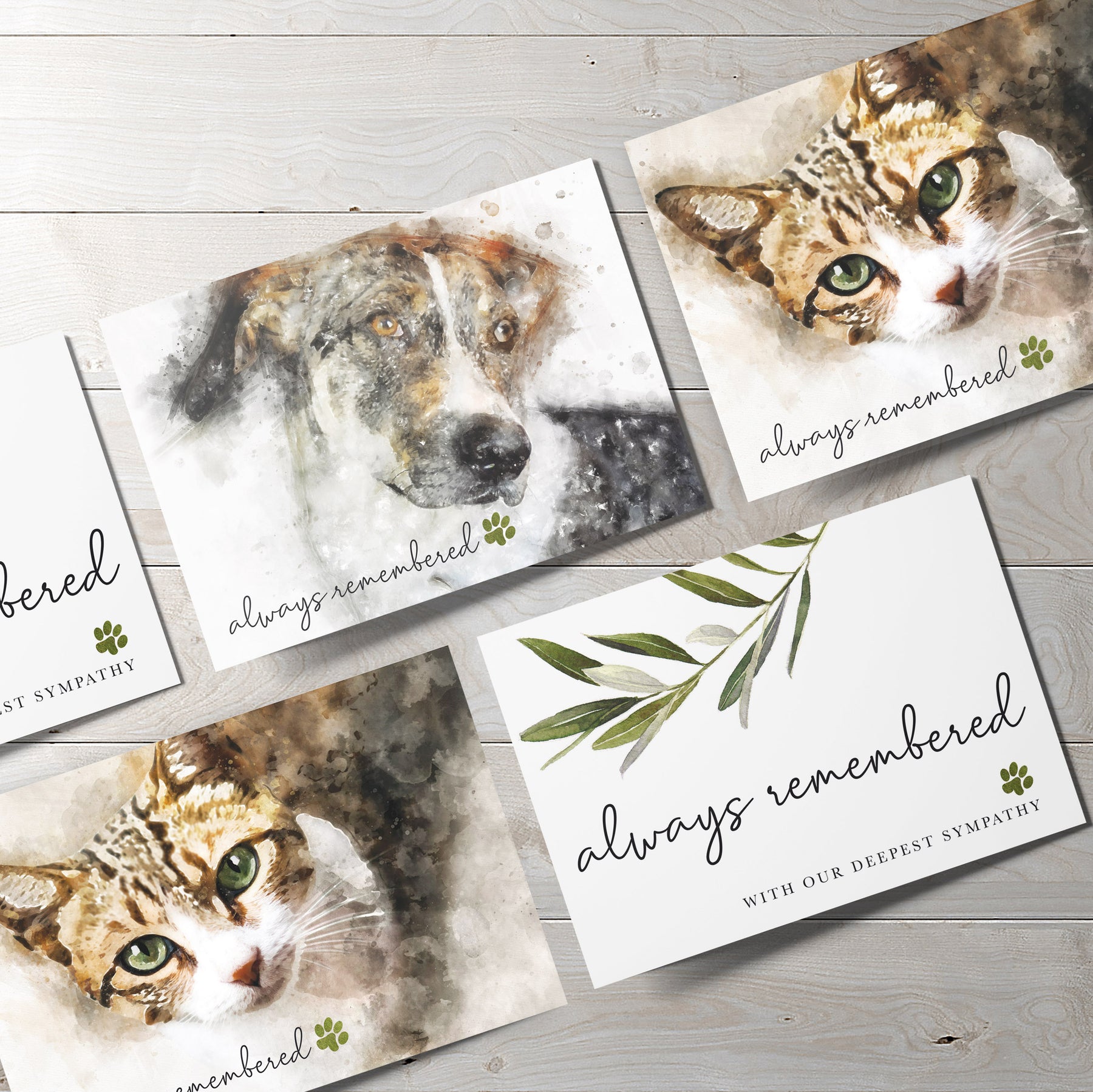 VetStationery · Designed for Veterinary professionals